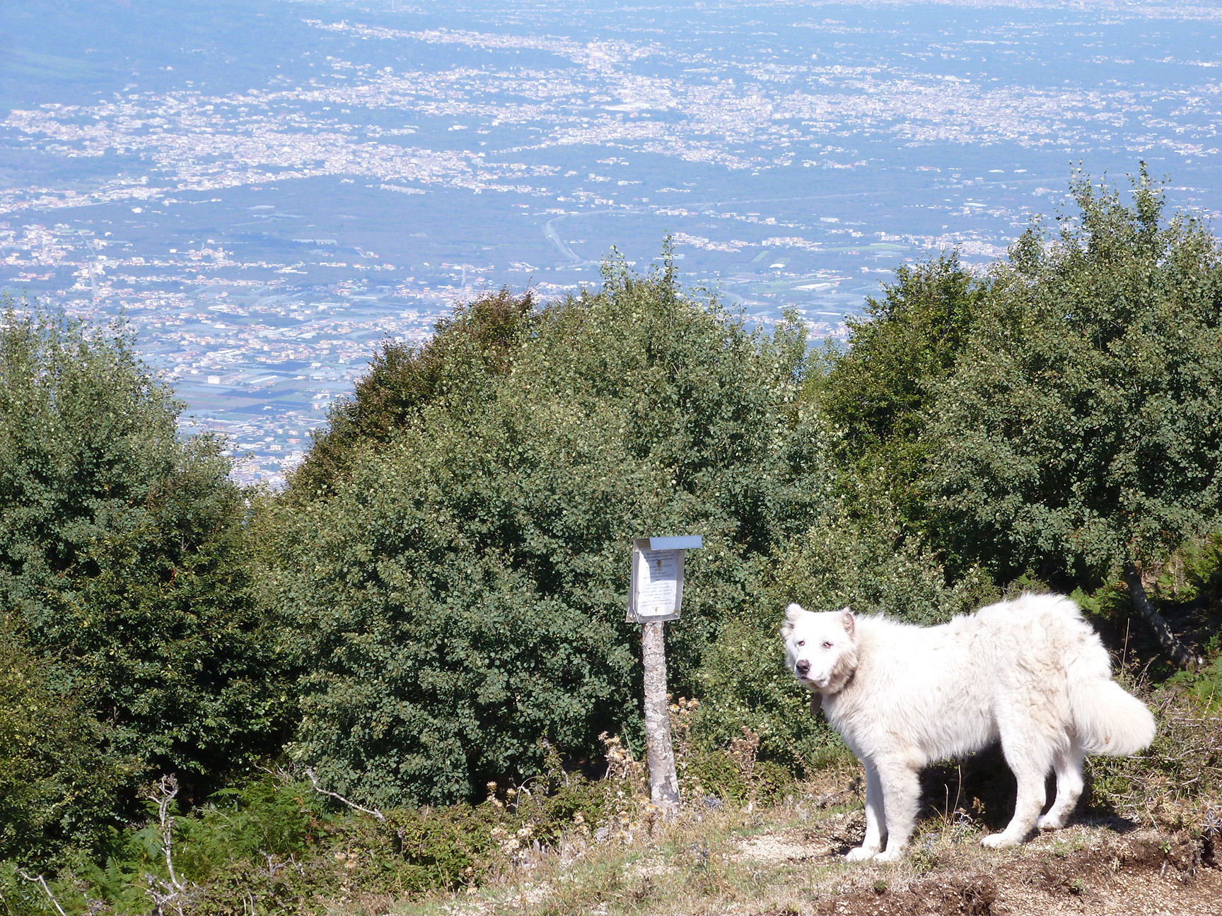 Il Monte Cerreto - Ente Parco Regionale dei Monti Lattari