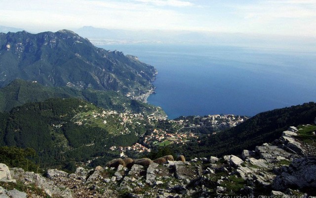 Il Monte Cerreto - Ente Parco Regionale dei Monti Lattari